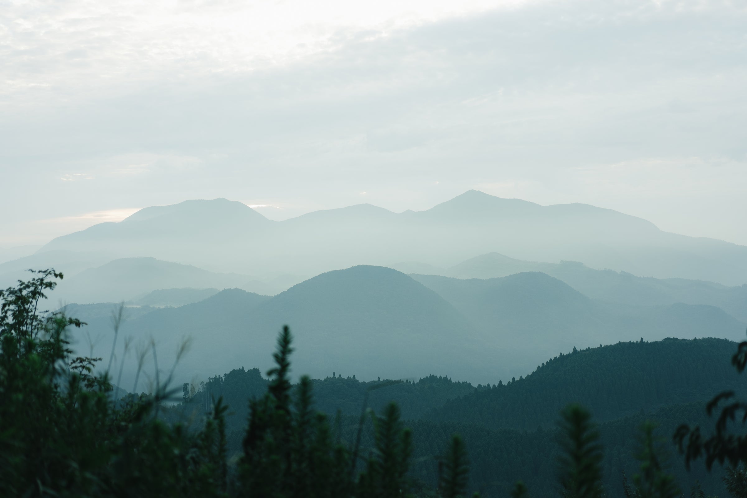 TaG. (Think about Green.) official store ｜ アウトドア